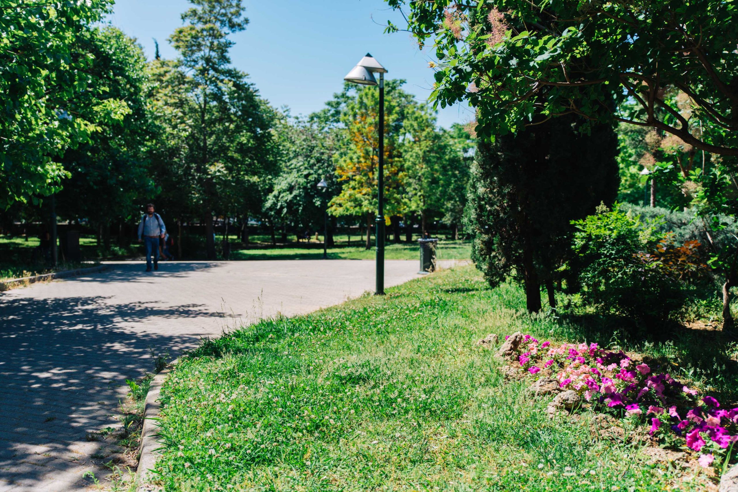 Πάρκο Ριζάρη