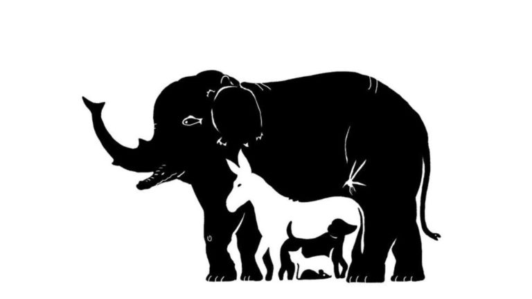 Οπτική ψευδαίσθηση: Εντοπίστε και τα 12 κρυμμένα ζώα σε 19 δευτερόλεπτα ...