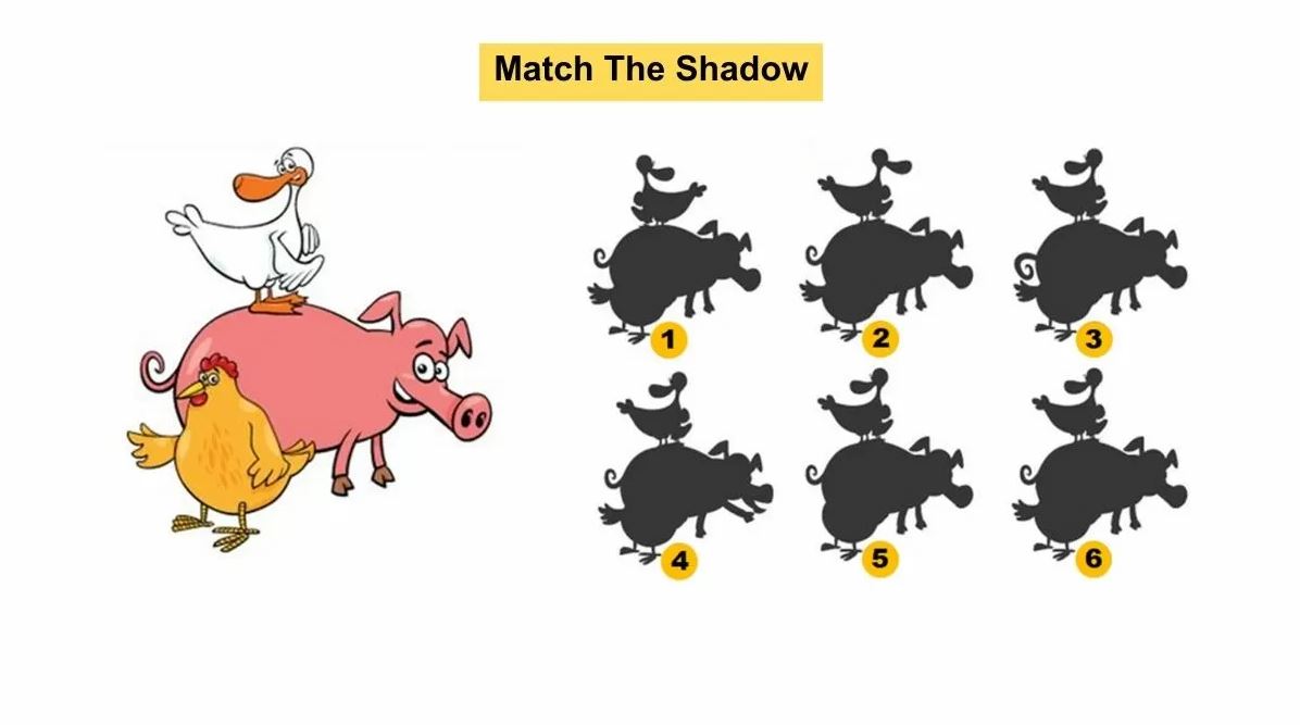 Visual Puzzle Challenge: Μπορείτε να ταιριάξετε τη σκιά μέσα σε 20 ...