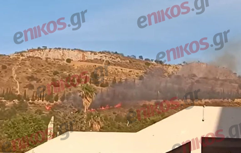 Φωτιά στο Άλσος Βεΐκου - Μεγάλη κινητοποίηση της Πυροσβεστικής - Βίντεο ...