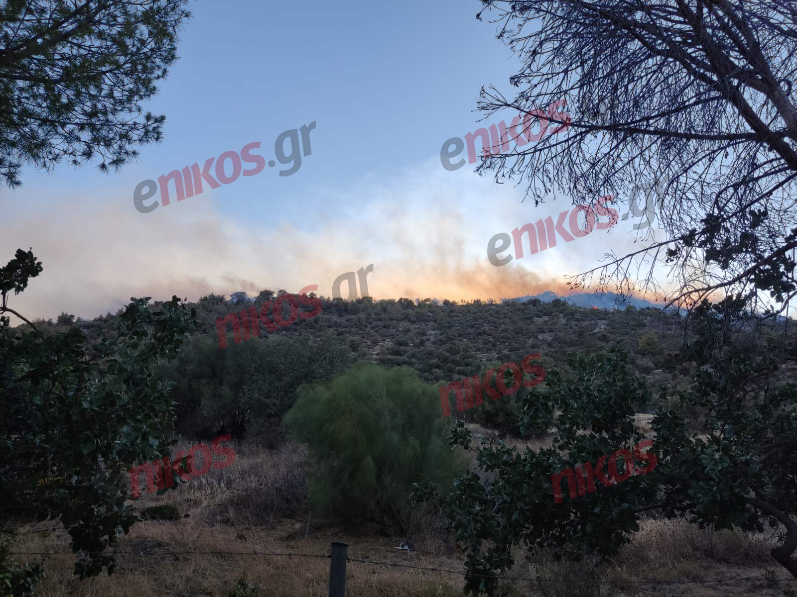 Φωτιά στην Αττική: Αναζωπύρωση στην περιοχή "Ερυθρός" στη Νέα Μάκρη ...
