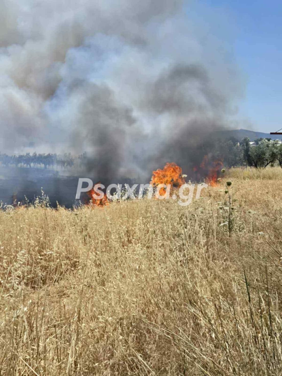 Φωτιά στην Ριτσώνα: Καίει κοντά σε εργοστάσιο - Δείτε εικόνες από την ...