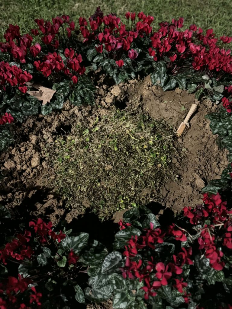 Θεσσαλονίκη: Ξήλωσαν και εξαφάνισαν τη μαρμάρινη πλάκα για τις ...