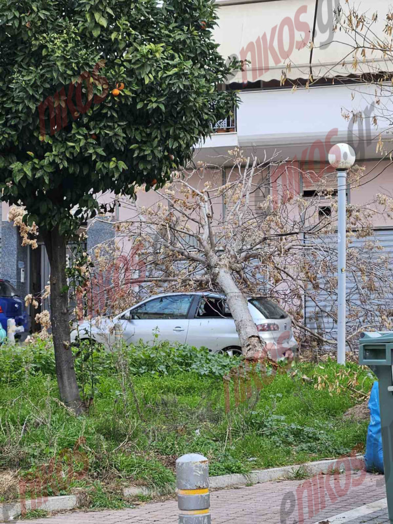 Κακοκαιρία στην Αττική: Δέντρο έπεσε πάνω σε αυτοκίνητο στη Δάφνη ...